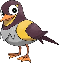 Wattrel | Analisi Pokémon Wiki | Fandom