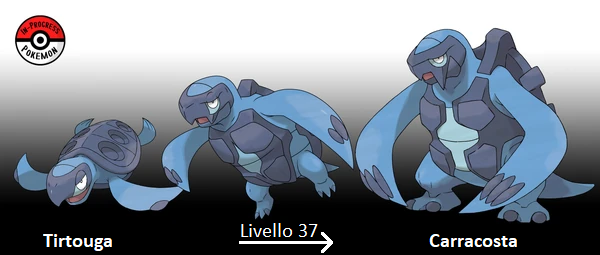 Tirtouga | Analisi Pokémon Wiki | Fandom
