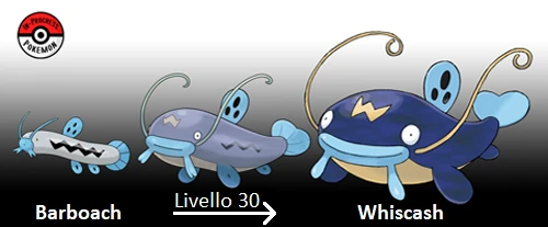 Barboach | Analisi Pokémon Wiki | Fandom