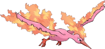 Moltres | Analisi Pokémon Wiki | Fandom