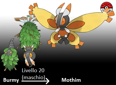 Mothim | Analisi Pokémon Wiki | Fandom