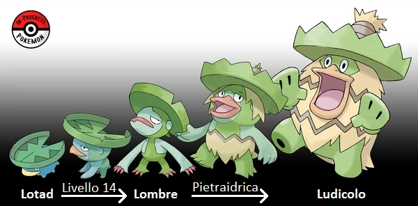 Lotad | Analisi Pokémon Wiki | Fandom