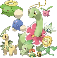 Erba | Analisi Pokémon Wiki | Fandom