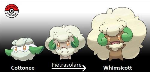 Cottonee | Analisi Pokémon Wiki | Fandom