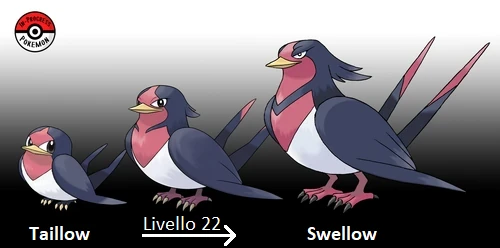 Taillow | Analisi Pokémon Wiki | Fandom