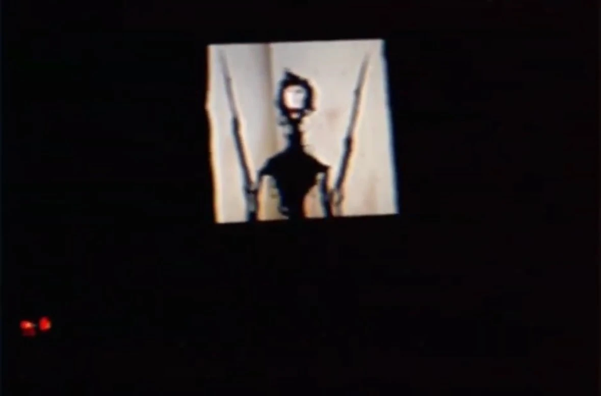 T.O.E | Analog Horror Wiki | Fandom