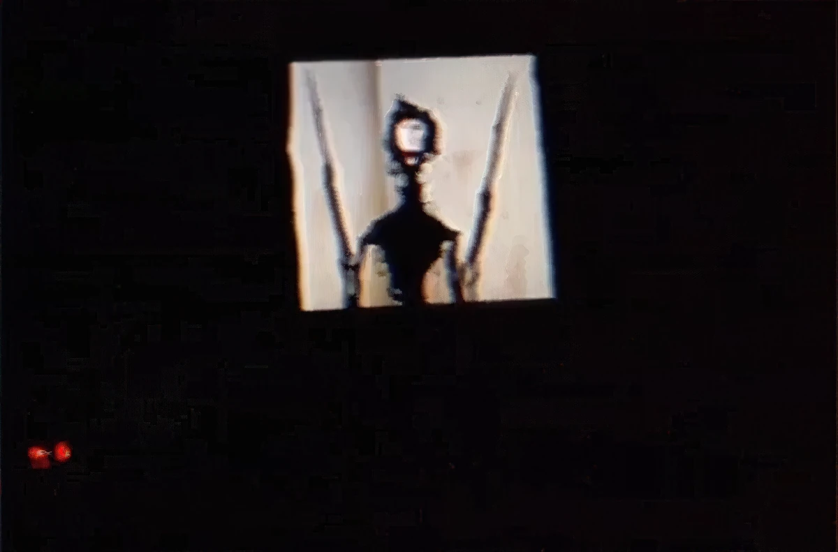 T.O.E | Analog Horror Wiki | Fandom