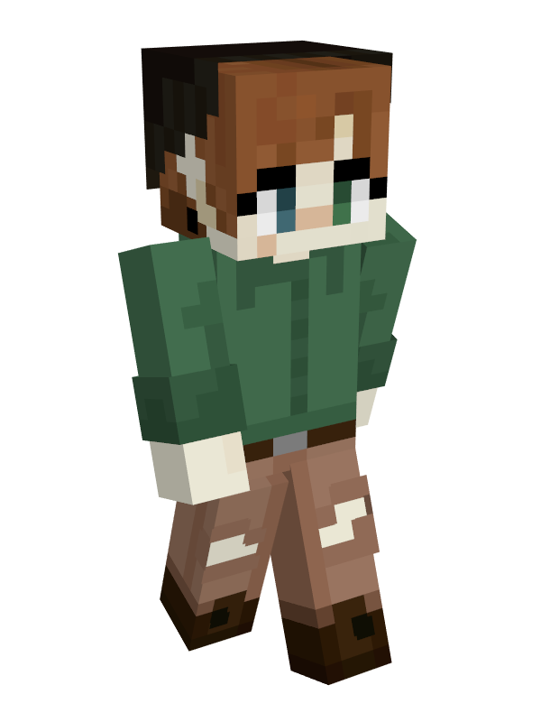 Robin | ANARCHY SMP Wiki | Fandom