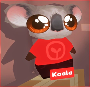 Koala | Anarcute Wiki | Fandom