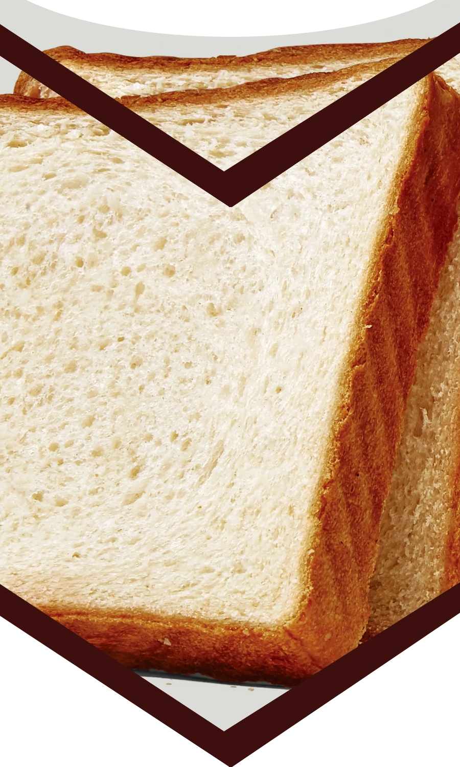 Breadburg | Anatrollia Wiki | Fandom