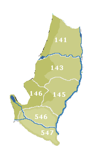 Lothlórien | Ancar Network Wiki | Fandom