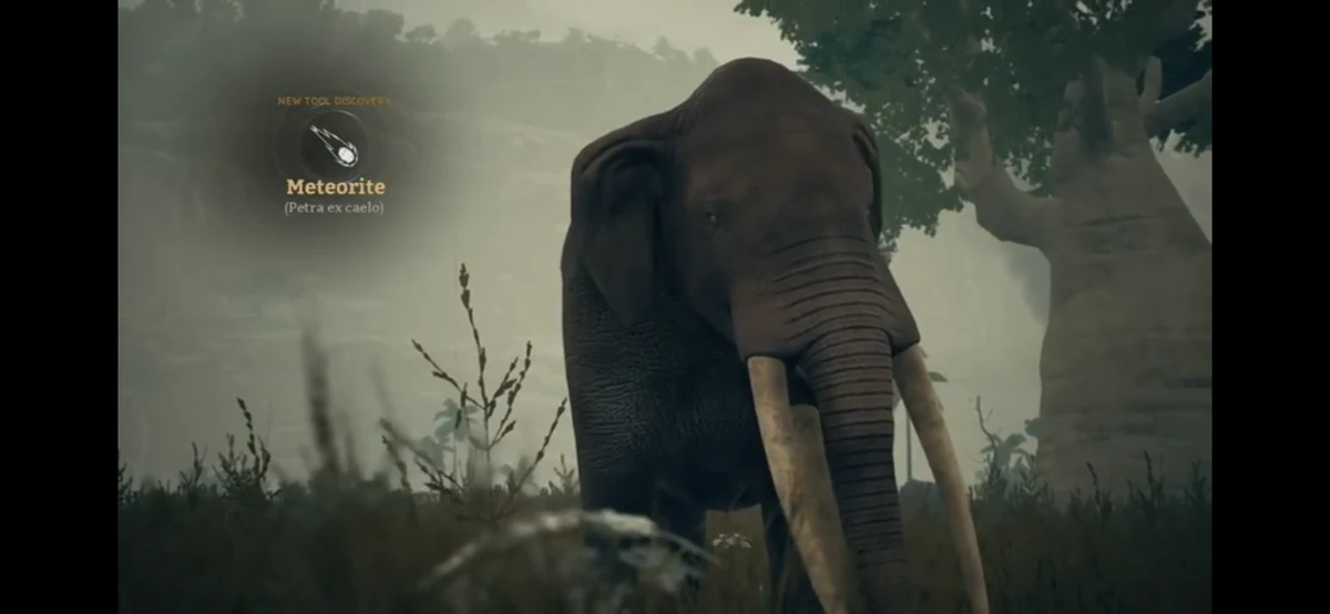 Stegotetrabelodon | Ancestors the Humankind Odyssey Wiki | Fandom