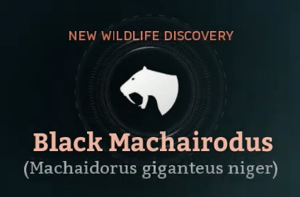 Black Machairodus - Ancestors: The Humankind Odyssey Wiki