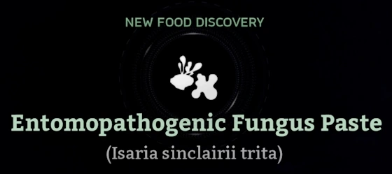 Entomopathogenic Fungus Paste - Ancestors: The Humankind Odyssey Wiki