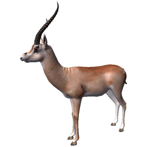 Dorcas Gazelle - Ancestors: The Humankind Odyssey Wiki