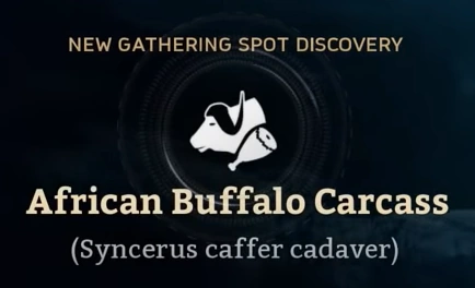 African Buffalo Carcass - Ancestors: The Humankind Odyssey Wiki