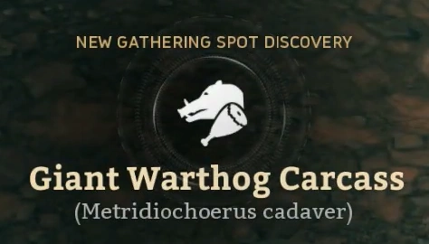 Giant Warthog Carcass - Ancestors: The Humankind Odyssey Wiki