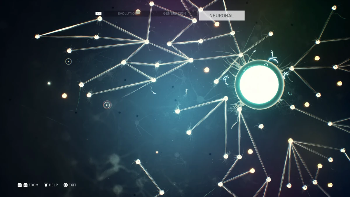 Neuronal Energy - Ancestors: The Humankind Odyssey Wiki