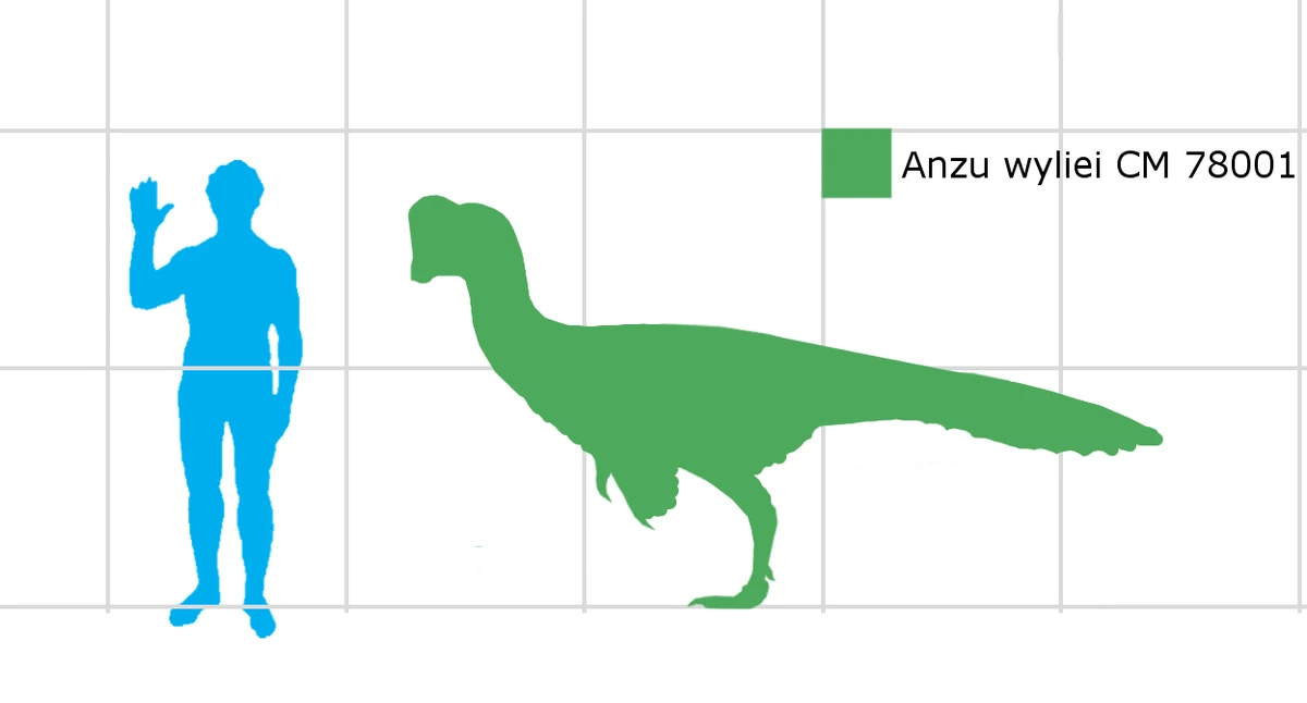Anzu | Ancient Animals Wiki | Fandom