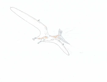 Pteranodon | Ancient Animals Wiki | Fandom
