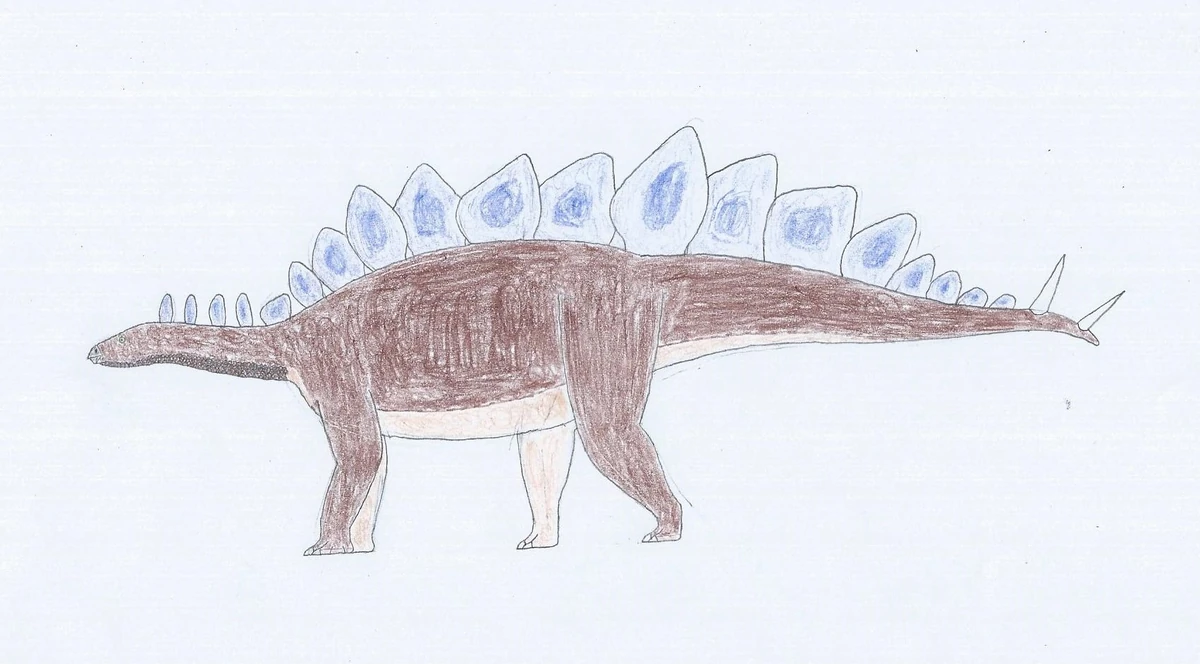 Stegosaurus | Ancient Animals Wiki | Fandom