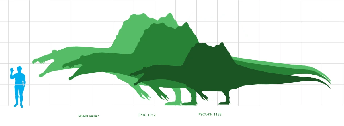 Spinosaurus | Ancient Animals Wiki | Fandom