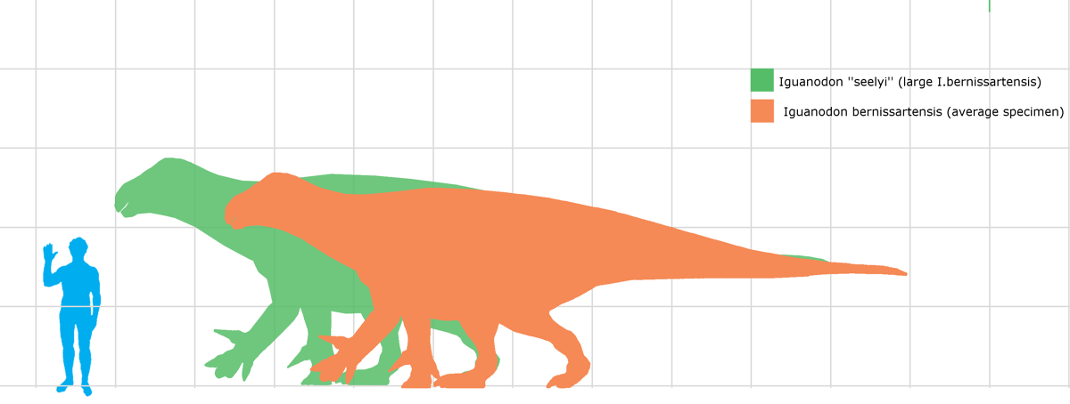 Iguanodon | Ancient Animals Wiki | Fandom