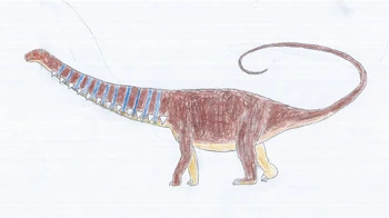 Brontosaurus | Ancient Animals Wiki | Fandom