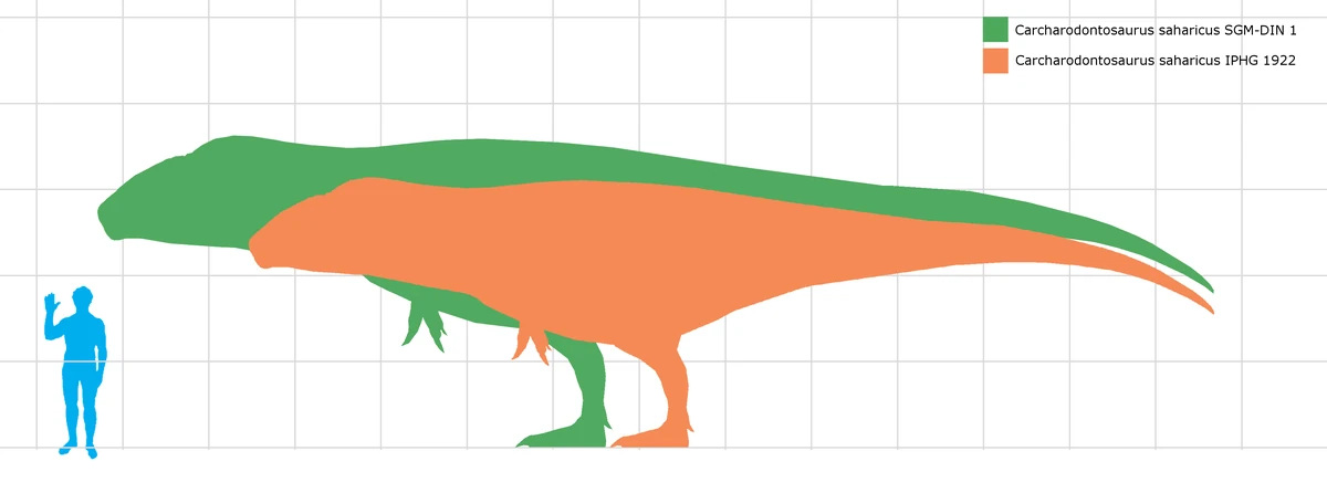 Carcharodontosaurus | Ancient Animals Wiki | Fandom