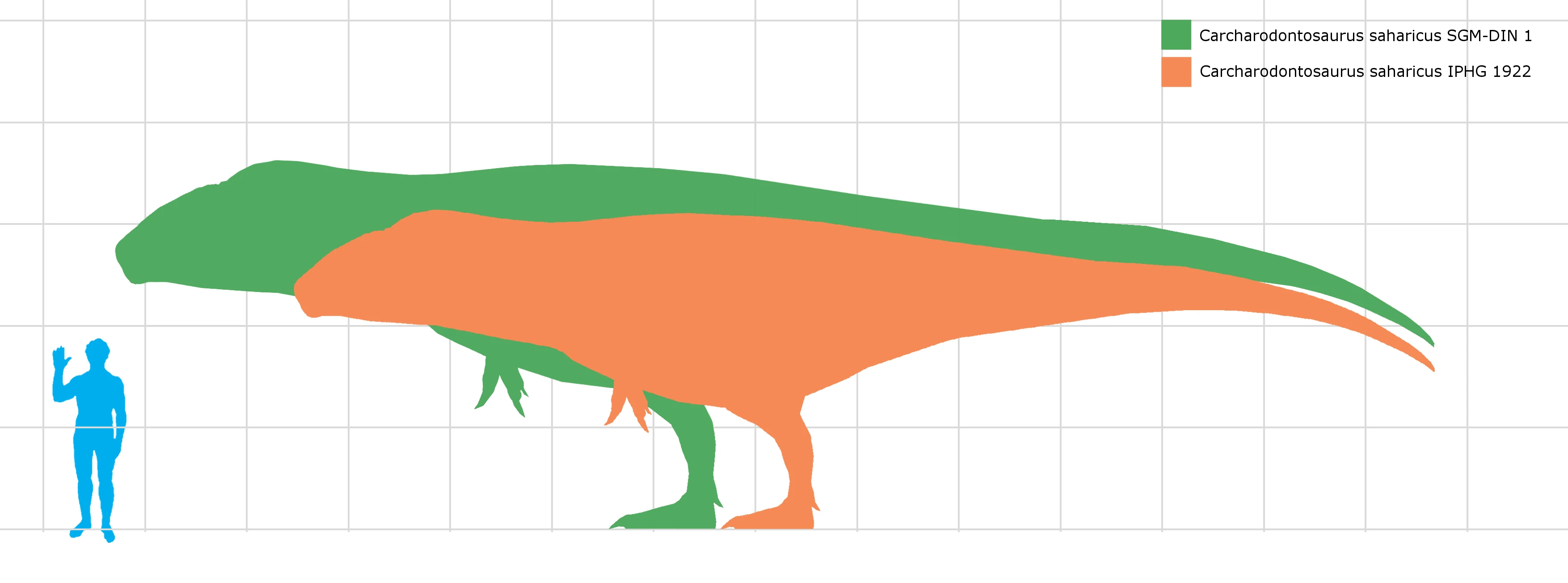 Carcharodontosaurus Size Comparison