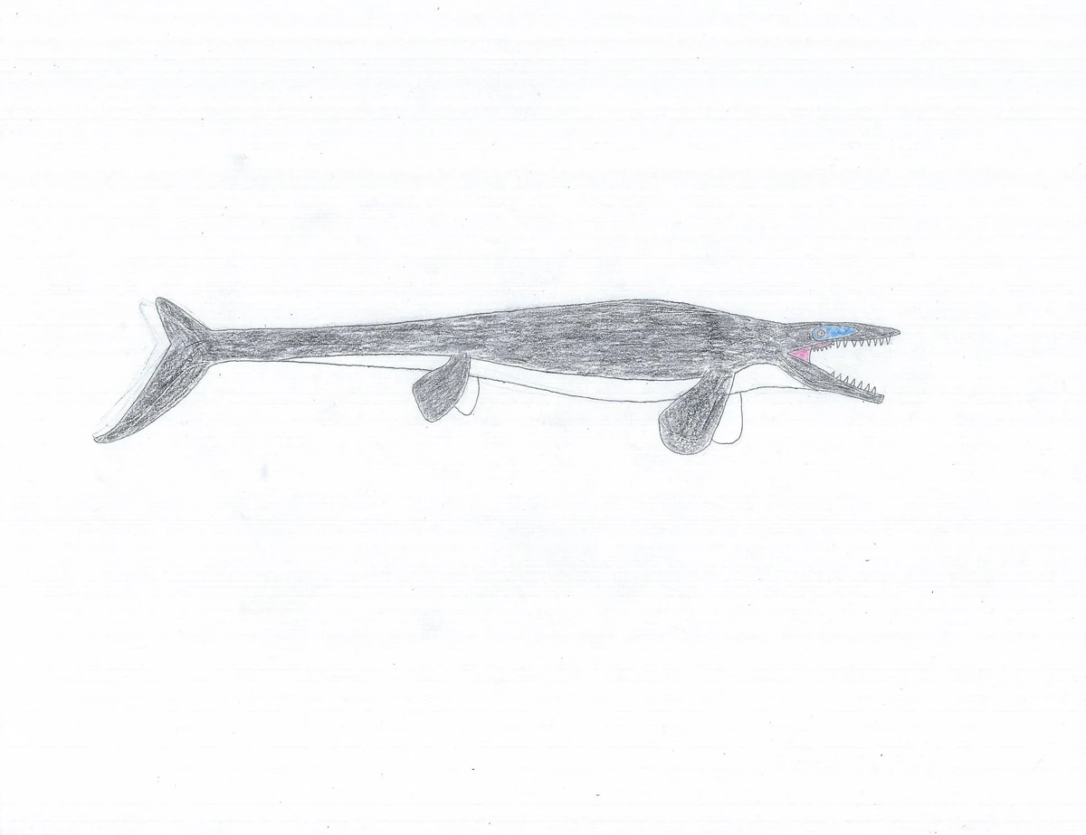 Tylosaurus | Ancient Animals Wiki | Fandom