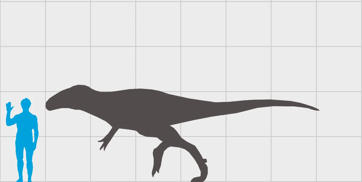 Eustreptospondylus | Ancient Animals Wiki | Fandom