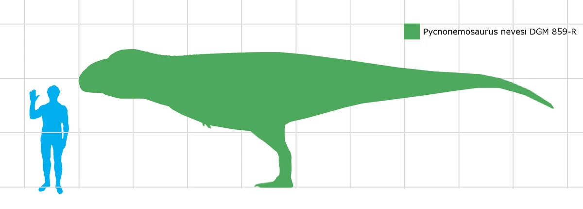Pycnonemosaurus | Ancient Animals Wiki | Fandom