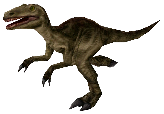 Allosaurus | Ancient carnivores Wiki | Fandom
