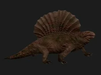 Dimetrodon | Ancient carnivores Wiki | Fandom