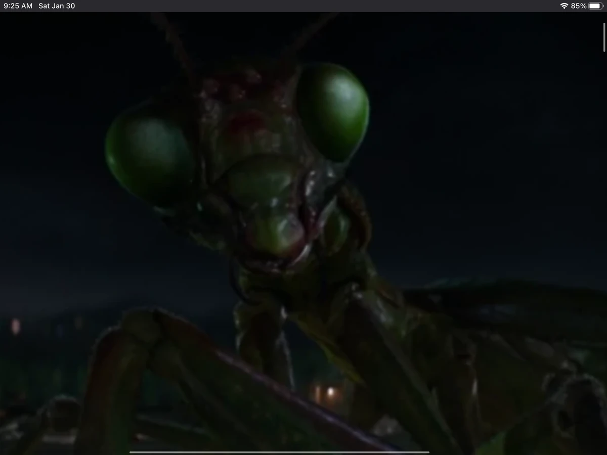 Giant Praying Mantises | Ancient Egyptian.com Wiki | Fandom