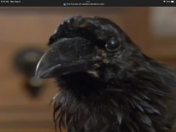 Corbierre | Ancient Egyptian.com Wiki | Fandom