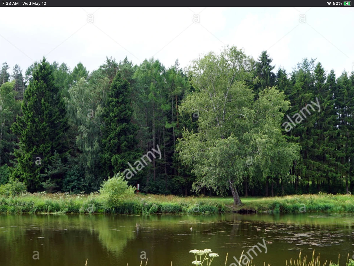 The Instrument Forest | Ancient Egyptian.com Wiki | Fandom