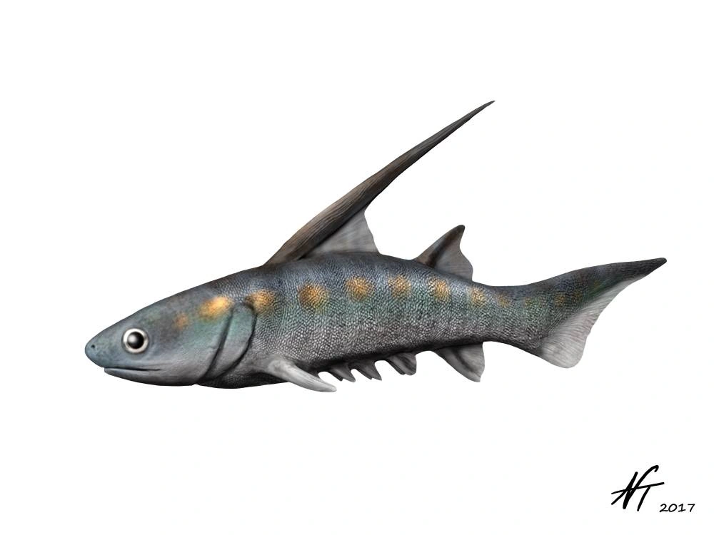 Parexus | Ancient life Wiki | Fandom