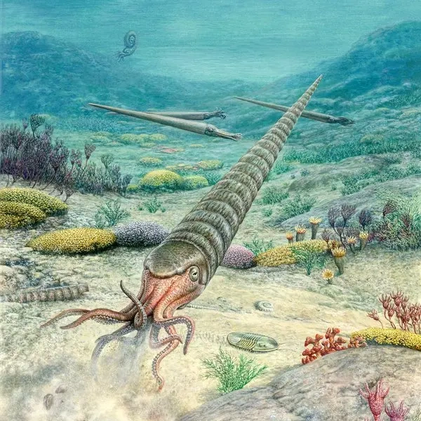 Ordovician | Ancient life Wiki | Fandom