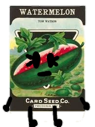 Watermelon Seeds | Ancient Object Tournament Wiki | Fandom