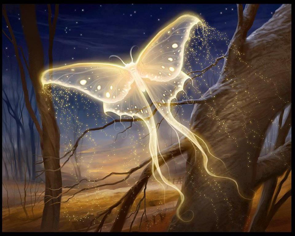 Golden-Silver Butterfly | Ancient Strengthening Technique Wiki | Fandom Golden-Silver Butterfly | Ancient Strengthening Technique Wiki | Fandom