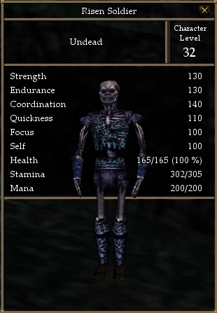 Risen Soldier | AncientAsheron Wiki | Fandom