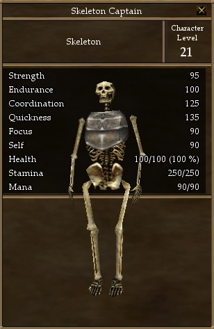 Skeleton Captain | AncientAsheron Wiki | Fandom