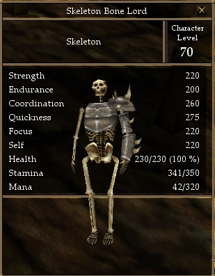 Skeleton Bone Lord | AncientAsheron Wiki | Fandom