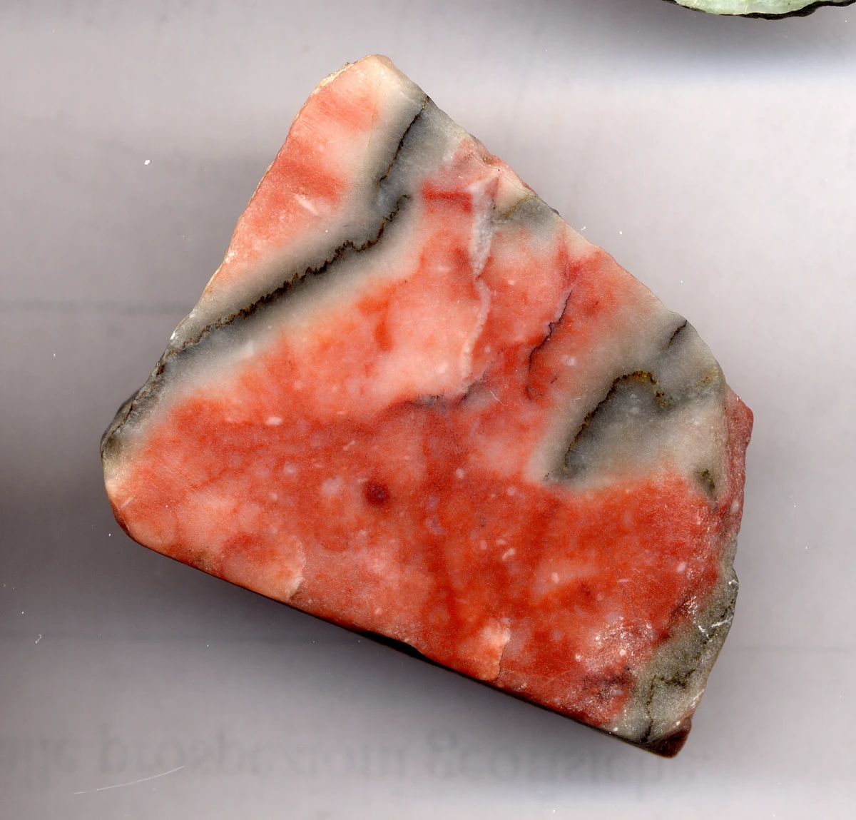 Africano | Ancient Marbles Wiki | Fandom