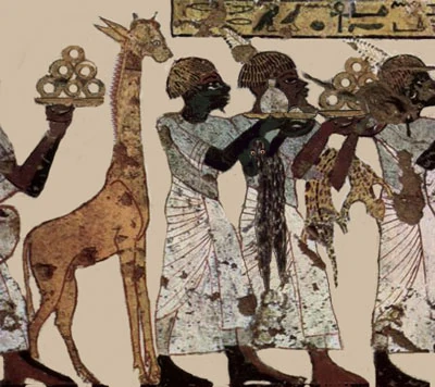 Ancient Africa | Archaeology Wiki | Fandom