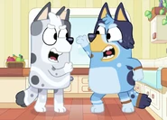 Bluey Heeler | And Bluey! Wiki | Fandom