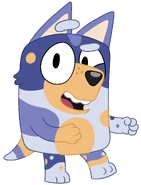 And Bluey! Wiki | Fandom