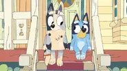 Bluey Heeler | And Bluey! Wiki | Fandom